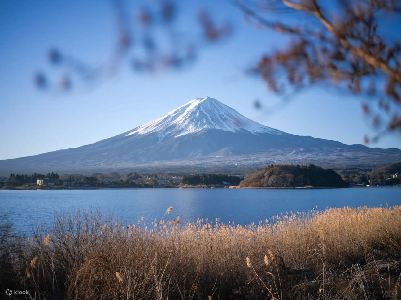 [Enam Tempat Populer untuk Berfoto] Tur Sehari Gunung Fuji｜Memberi ...